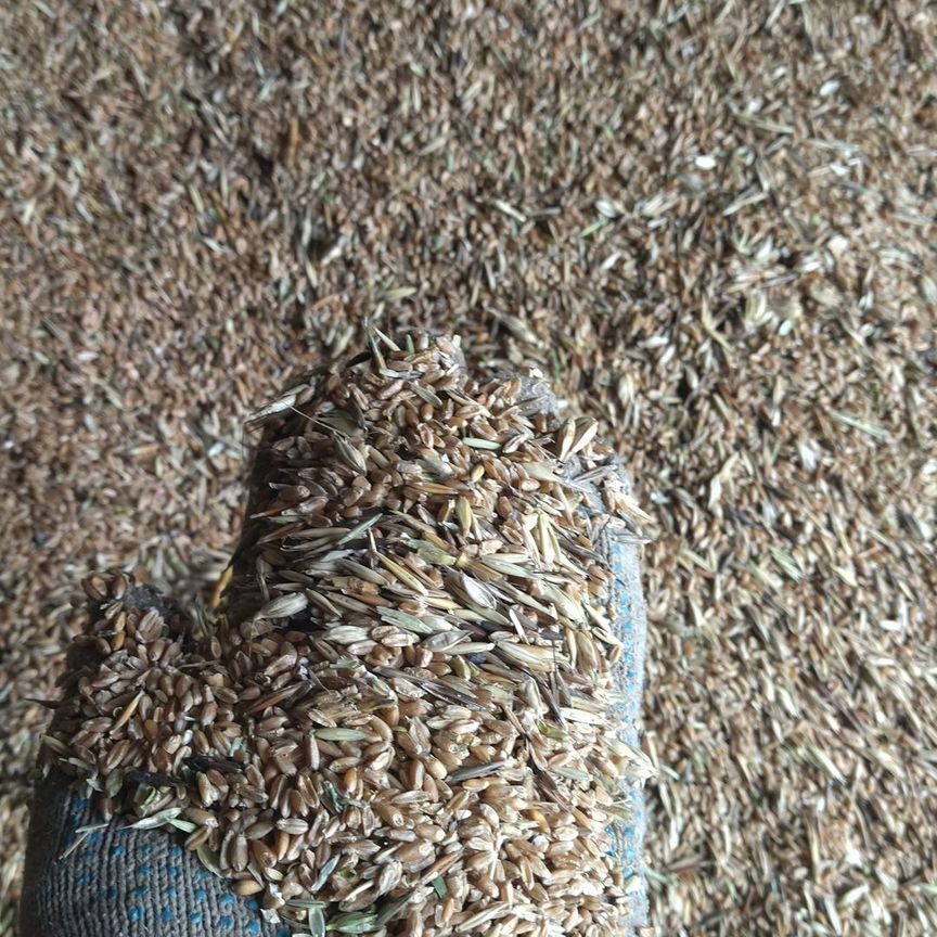 Зерновые отходы