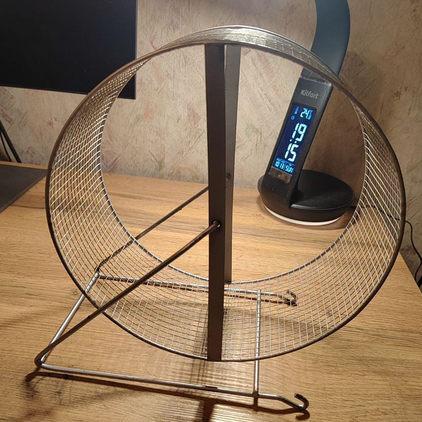 Беговое колесо 25 см