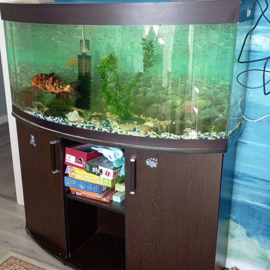 Аквариум 220 л полусфера с рыбками