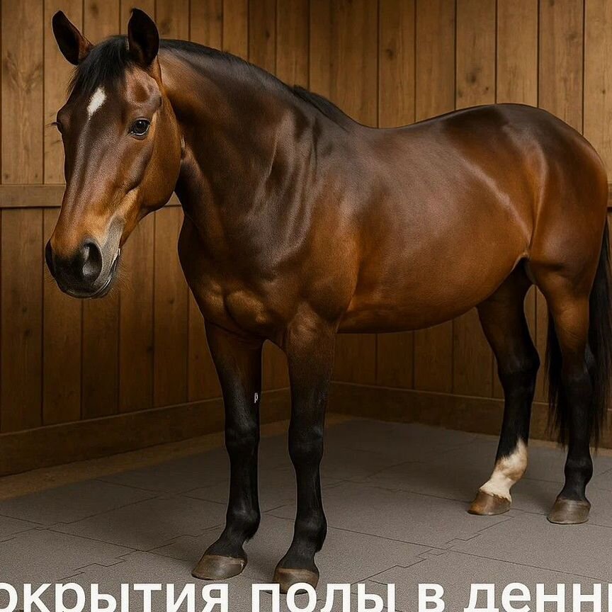 Маты для конюшни и денников — Ачинск