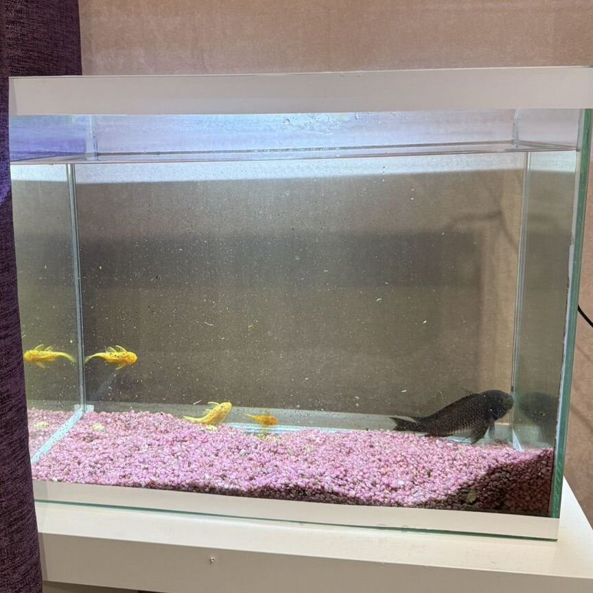 Аквариум 55 литров