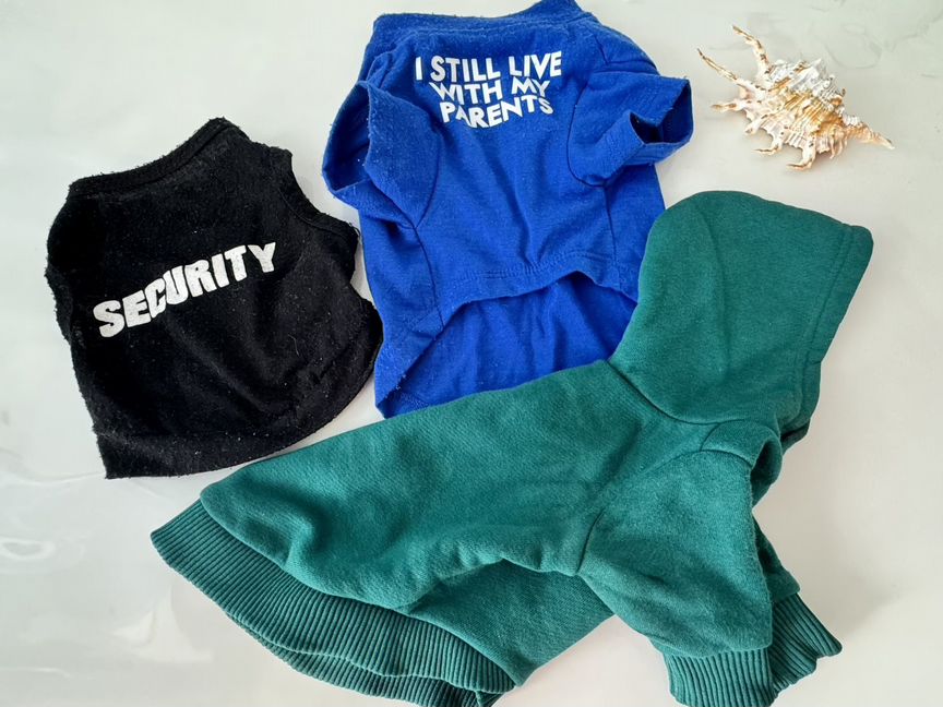 Вещи на маленькую собачку или котика