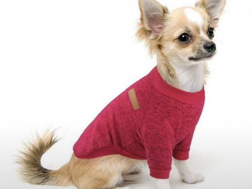 Кофта для собак и кошек