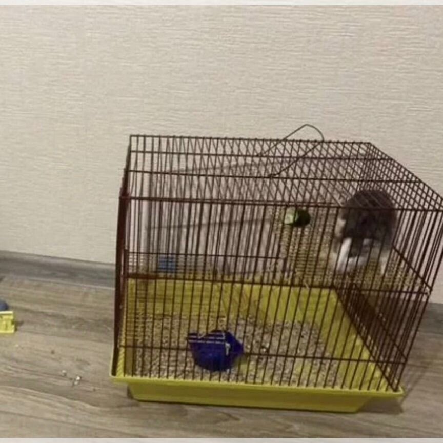 Клетка для грызунов бу