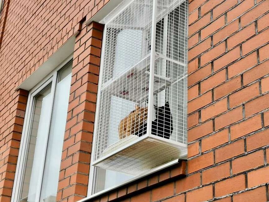 Балкон для кошек