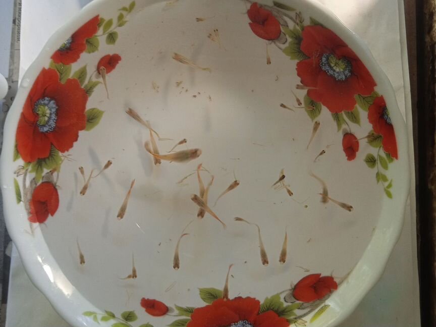 Аквариумные рыбки