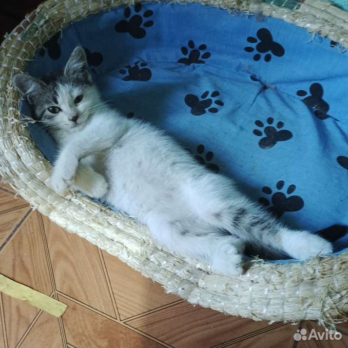 Машуня ищет семью