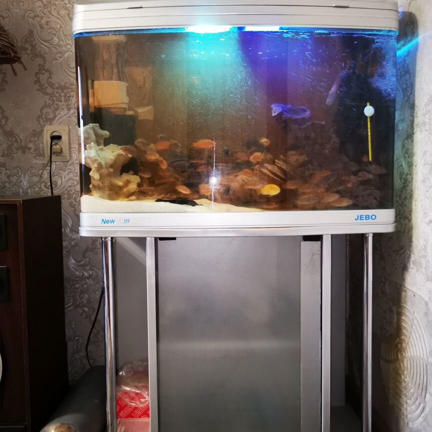 Аквариум с рыбками