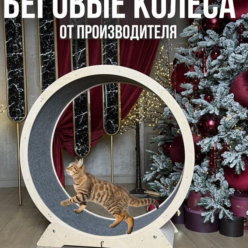 Беговое колесо для кота от производителя