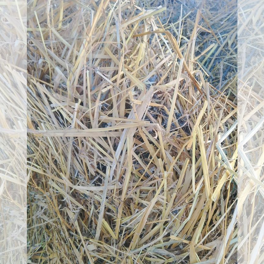Солома в мешках