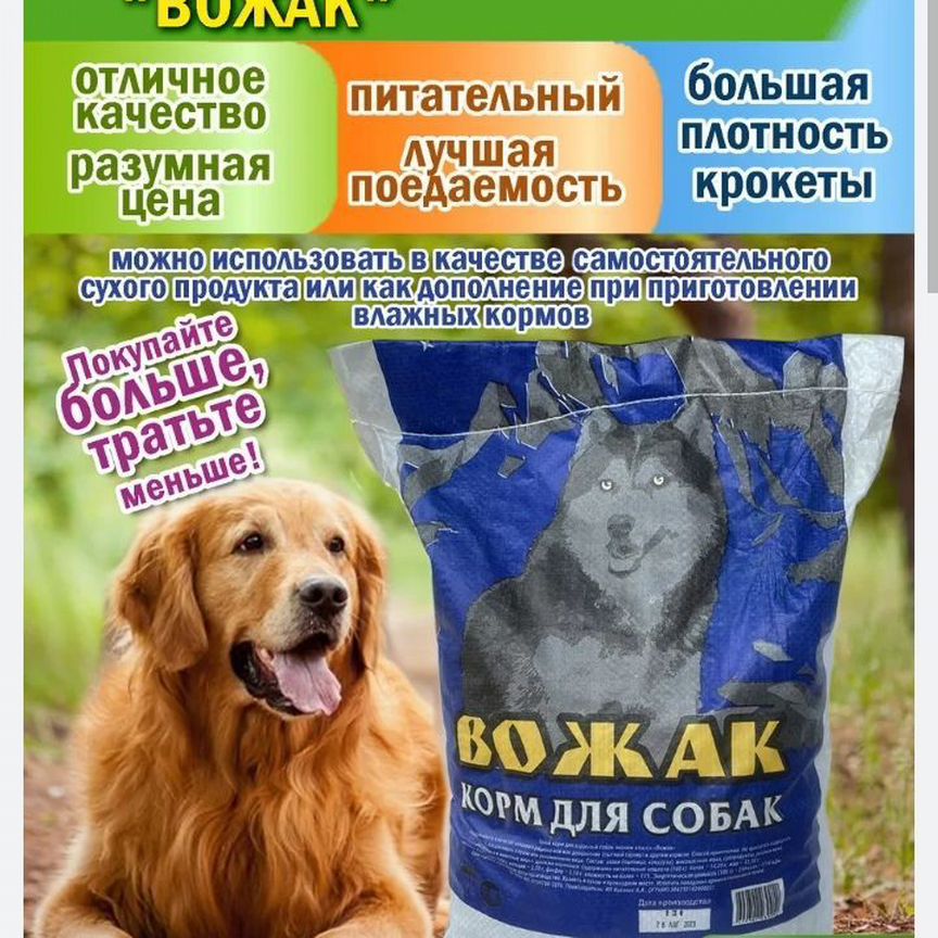 Корм для собак