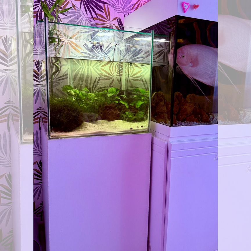 Аквариум с тумбой