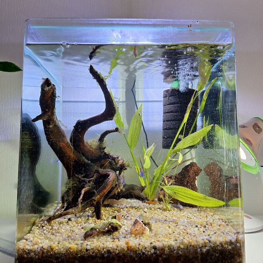 Аквариум кубик