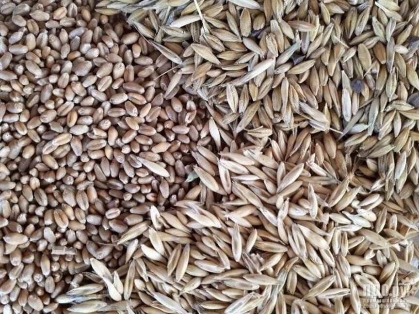 Пшеница,овёс,дроблёнка