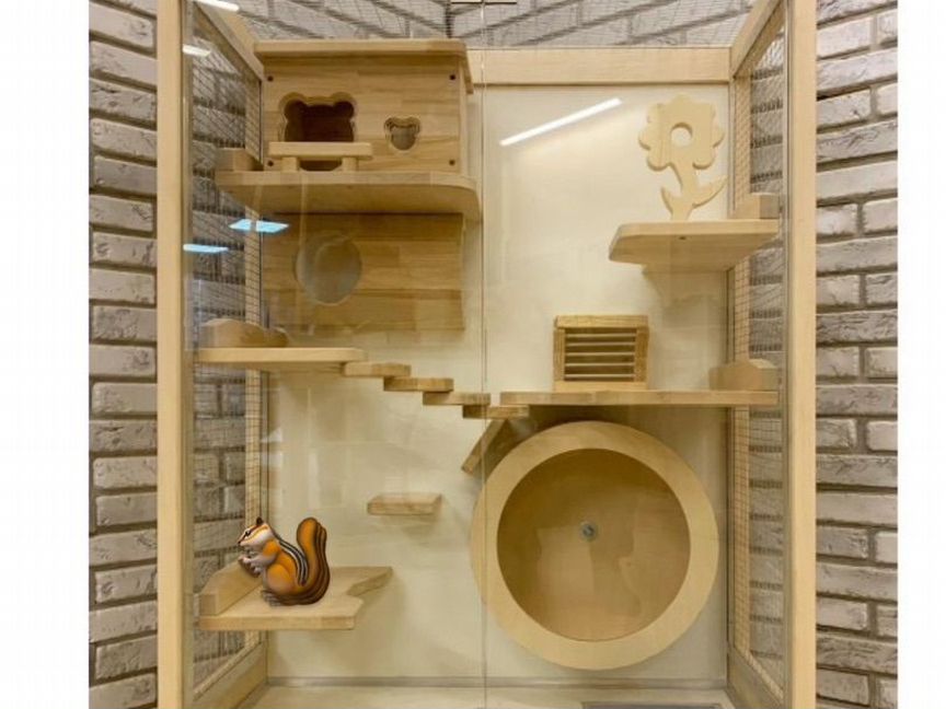 Витрина для домашних грызунов