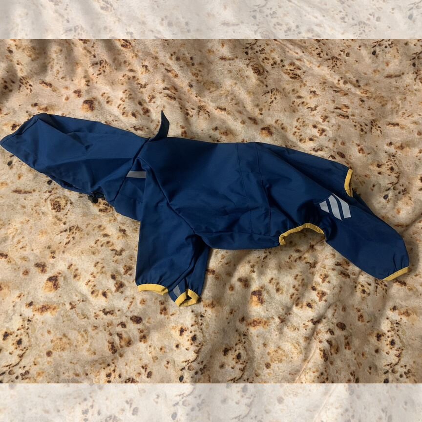 Дождевик для маленькой собаки