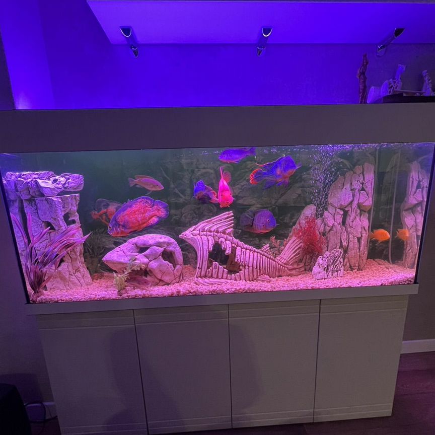 Аквариум на 360 л