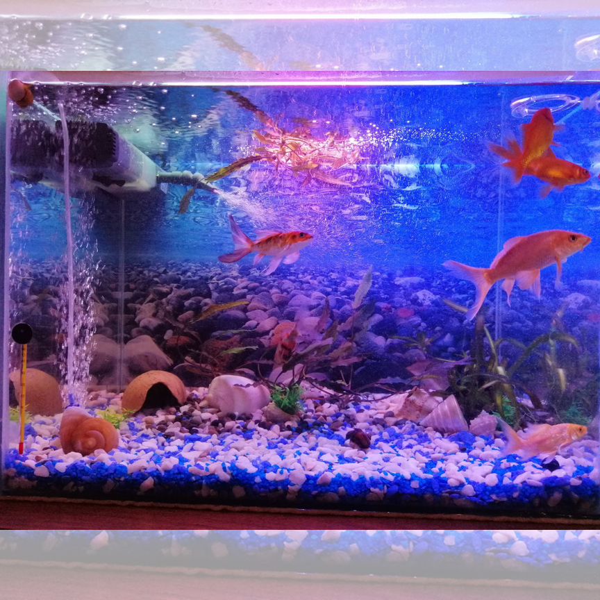 Аквариум 150 литров