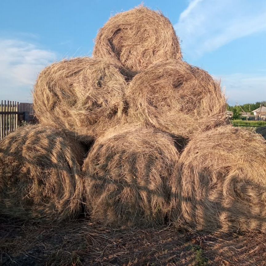 Сено в рулонах