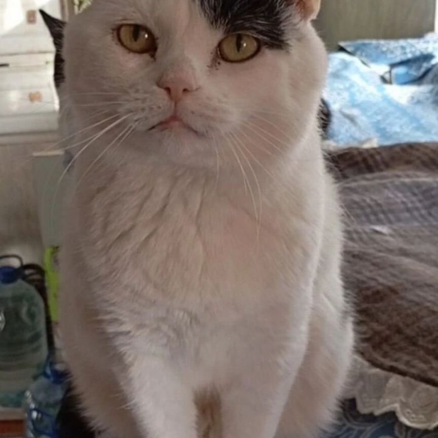 Поедем скорее домой