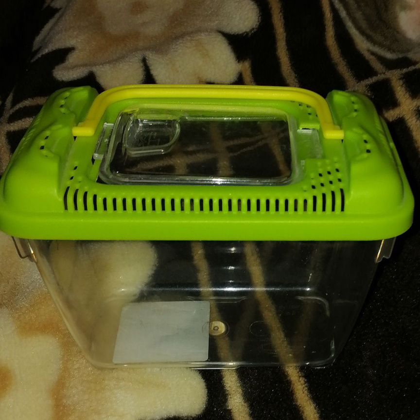 Переноска для джунгарского хомяка или мышки