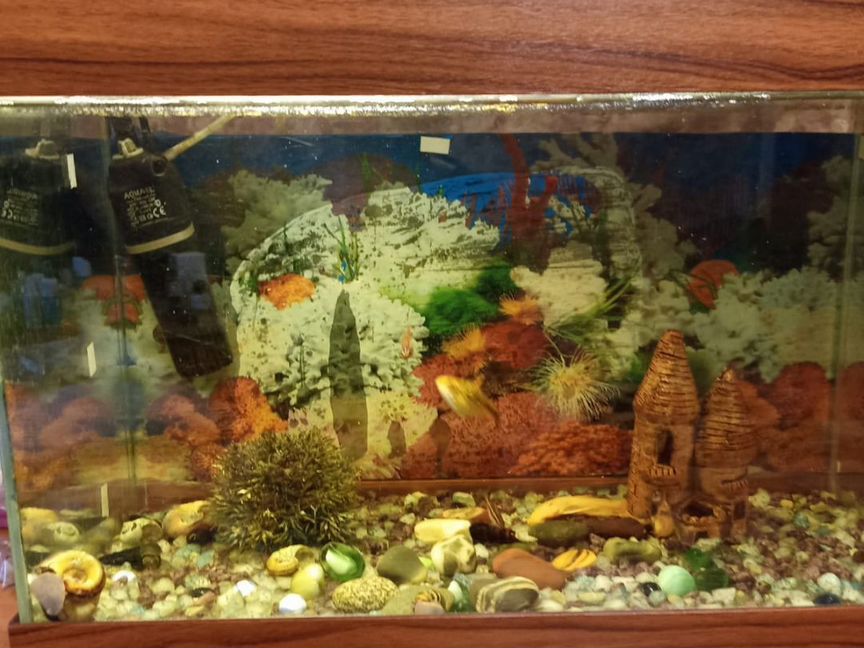 Аквариум