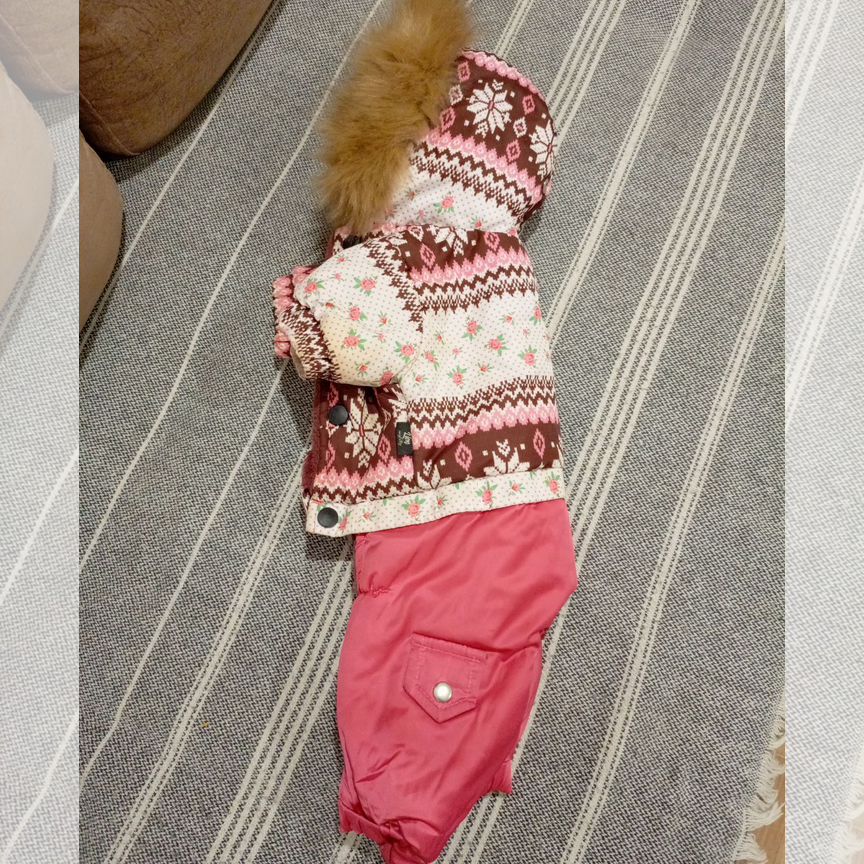 Одежда для собак мелких пород зима девочка