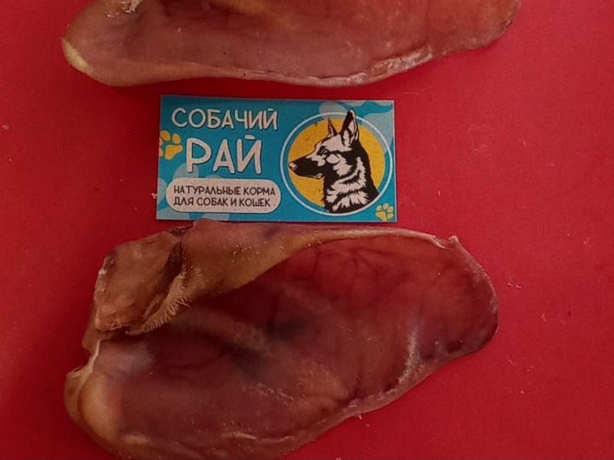 Уши свинные сушеные для собак