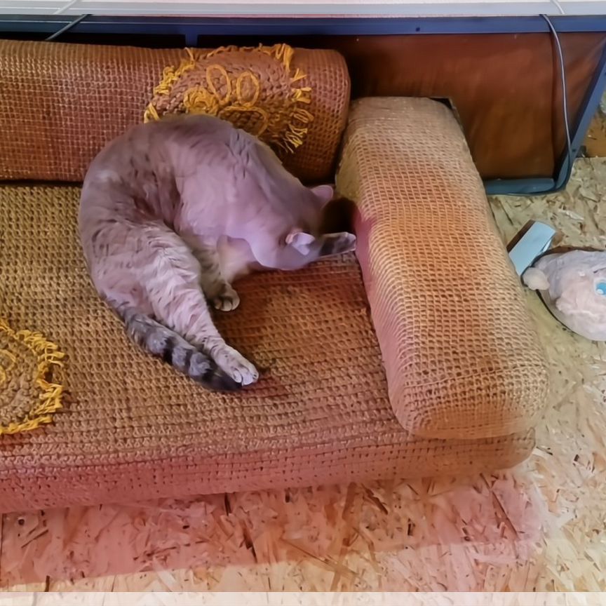 Диванчик для крупных собак