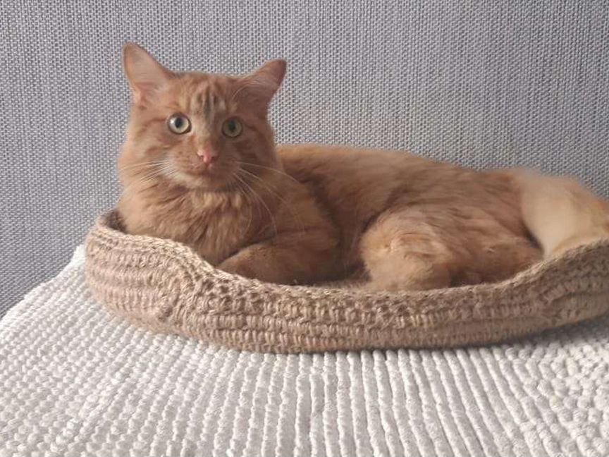 Лежанка из джута для кошек и собак