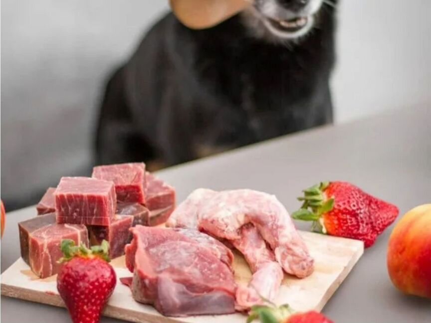 Субпродукты для собак