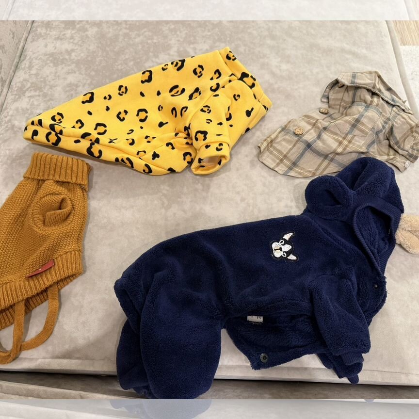 Вещи для собаки мелких пород