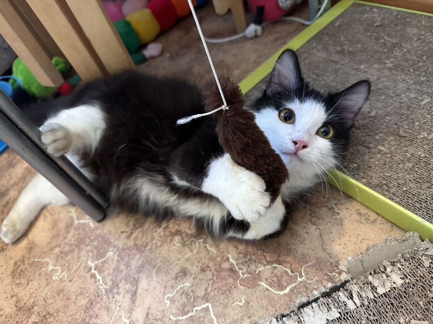 Малыш хочет дома играть