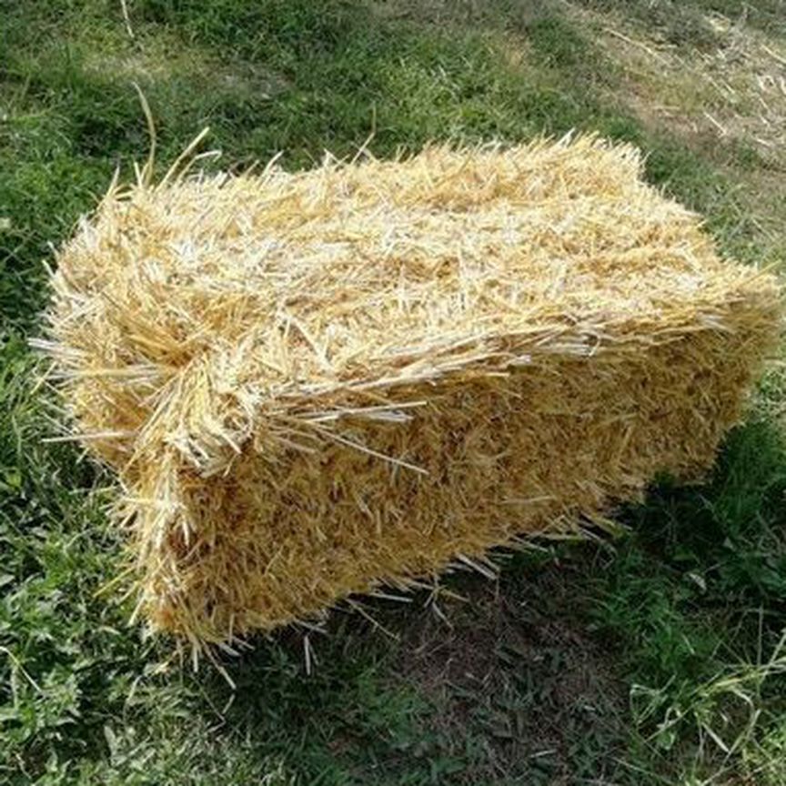 Солома в тюках