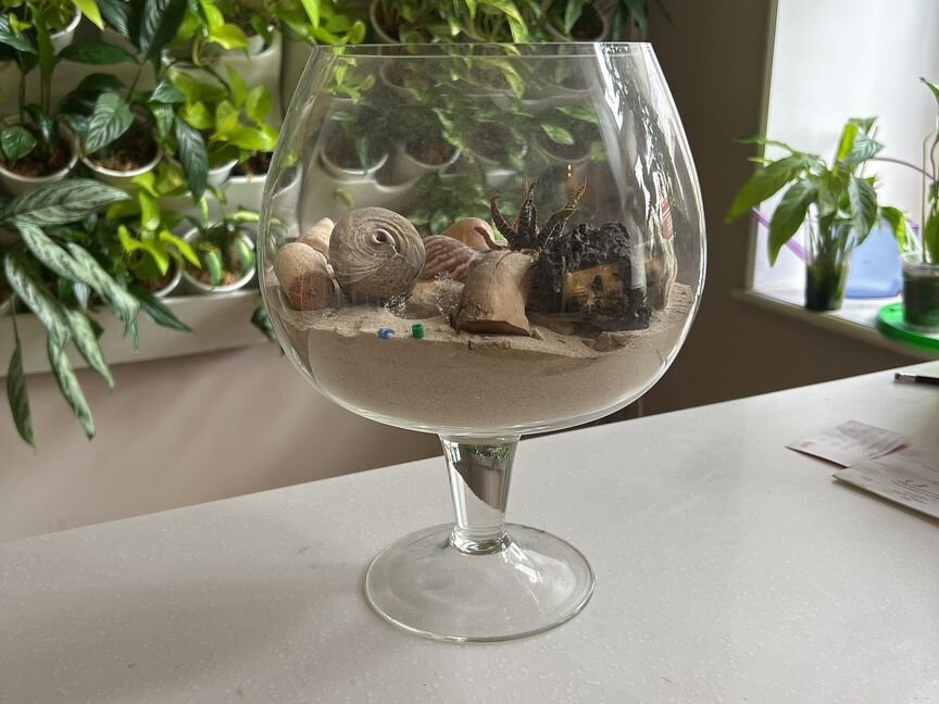 Аквариум рюмка