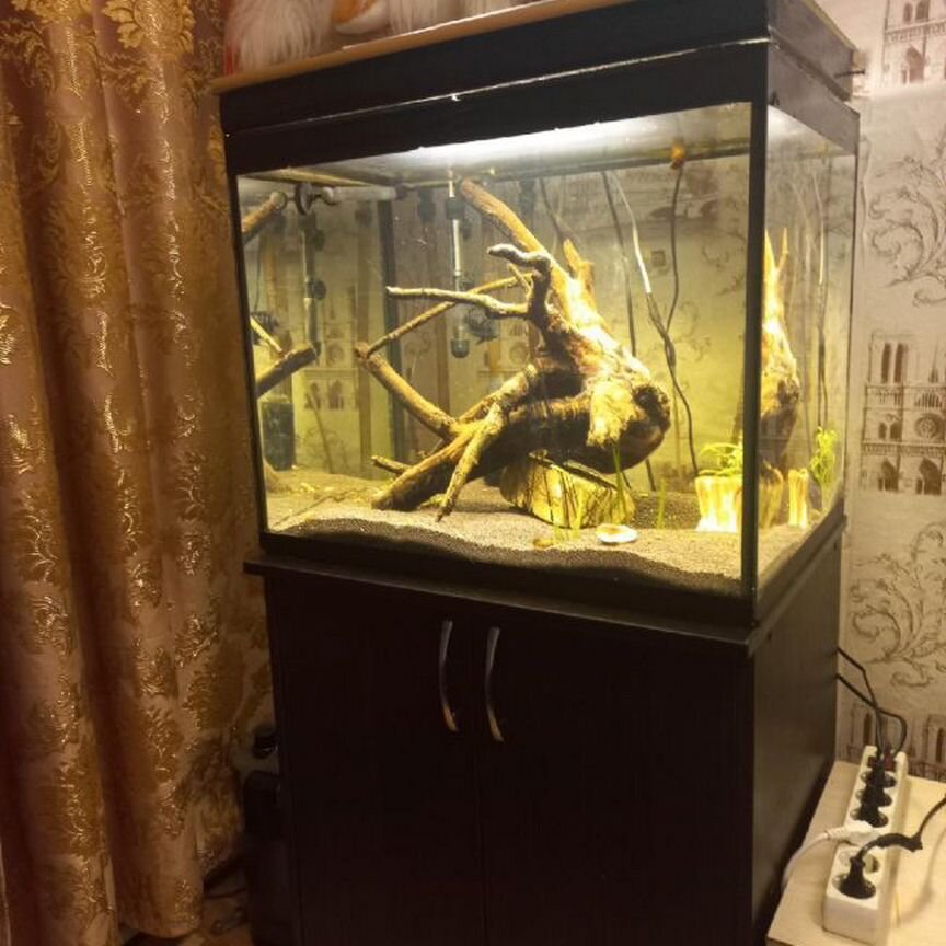 Аквариумные рыбки с тумба внешний фильтром