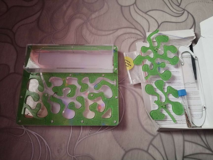 Формикарий