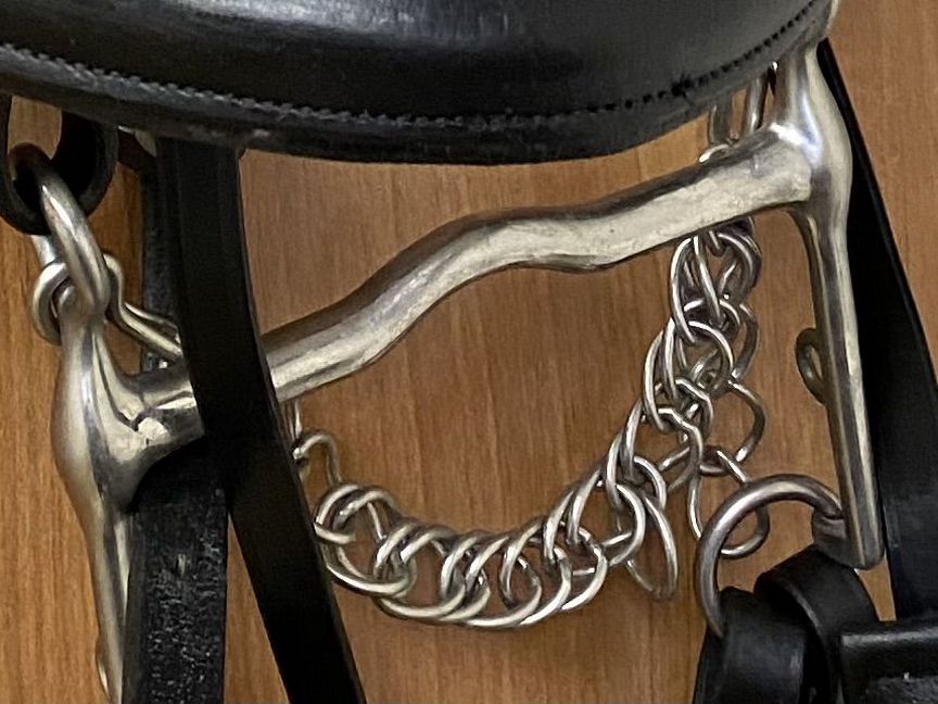 Мундштук для лошади, выездка