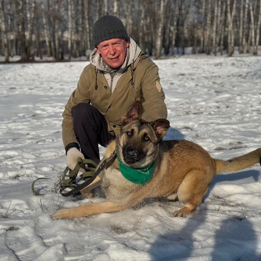 Щенок в добрые руки