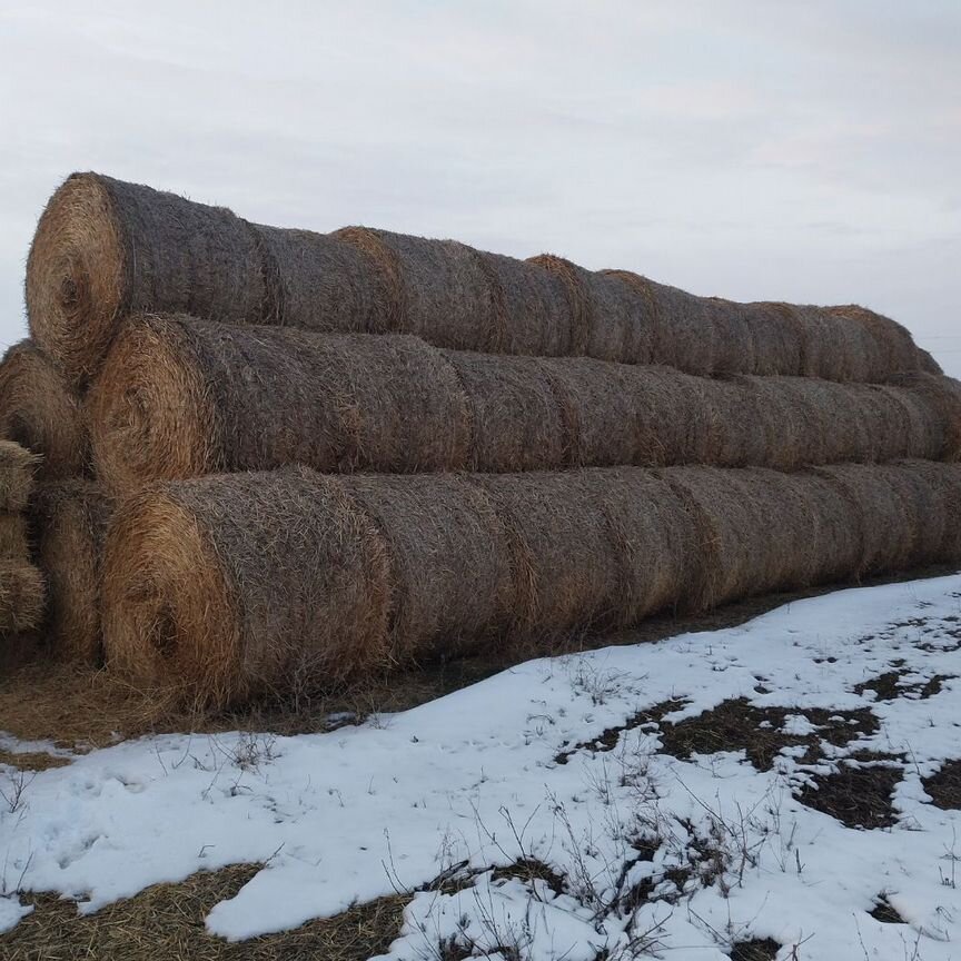 Солома в рулонах