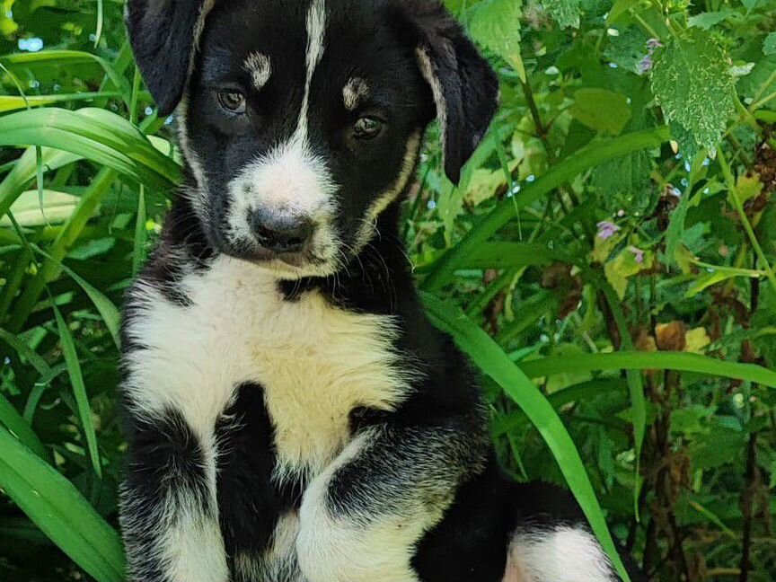 Маленькая девчушка ждёт мам пап