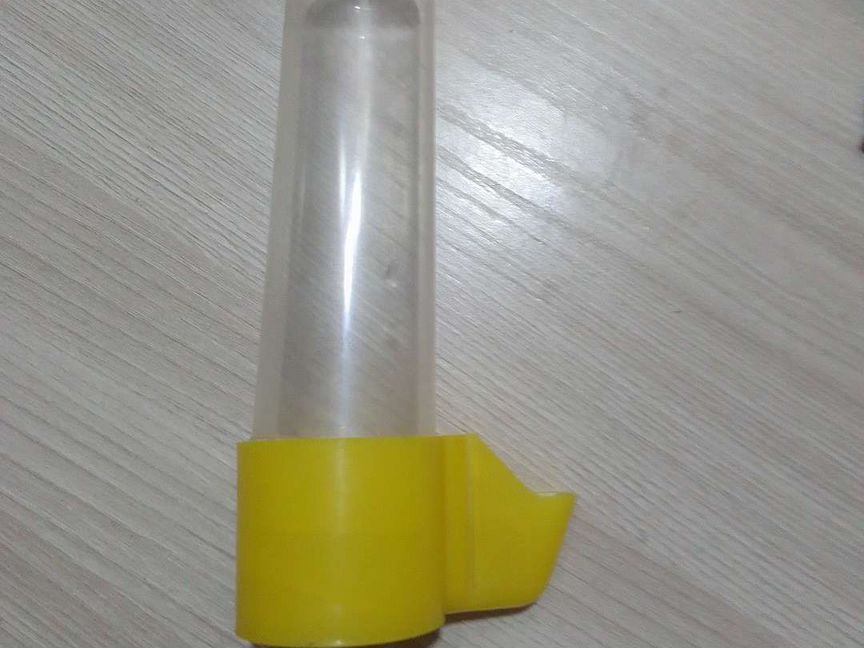 Вещи для попугая