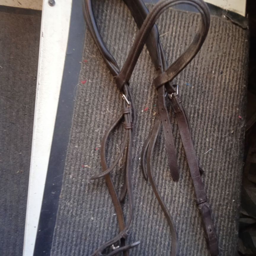 Уздечка для лошади full