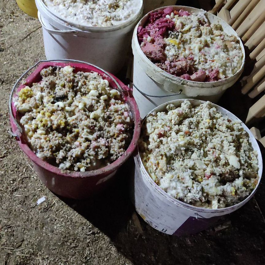 Пищевые отходы