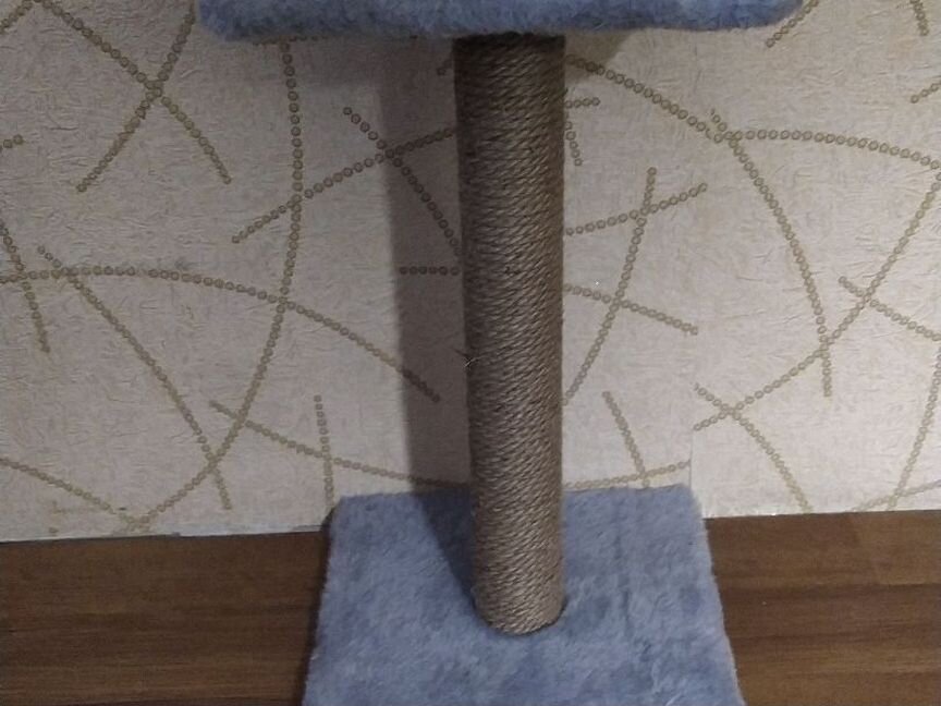 Когтеточка