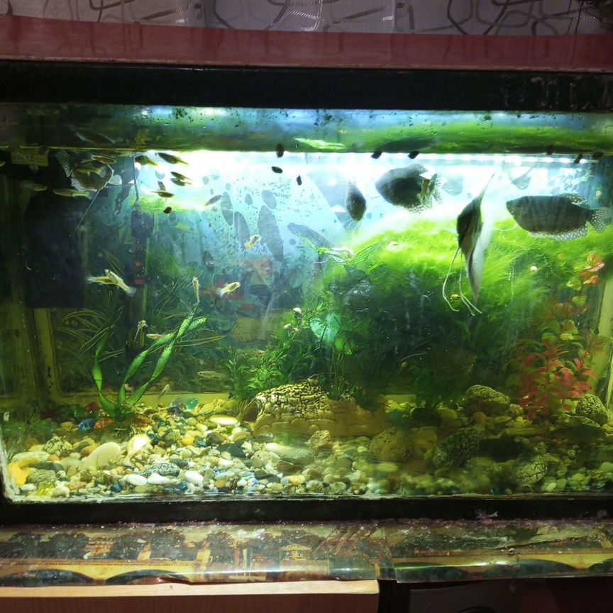 Продам аквариум 100л