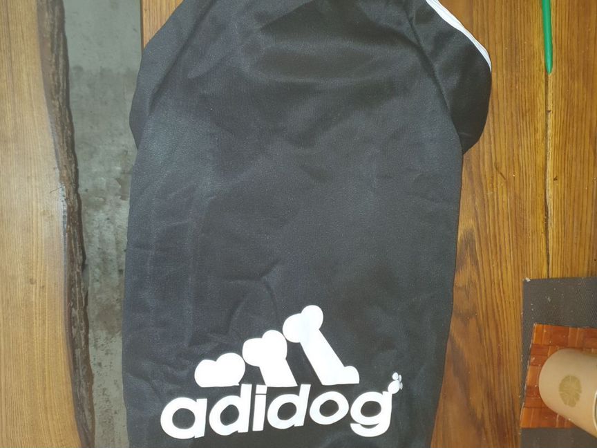 Одежда для большой собаки