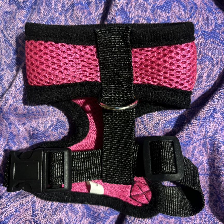 Шлейка + толстовка для маленькой собаки