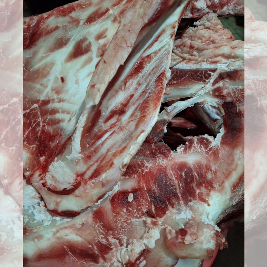 Кости для собак