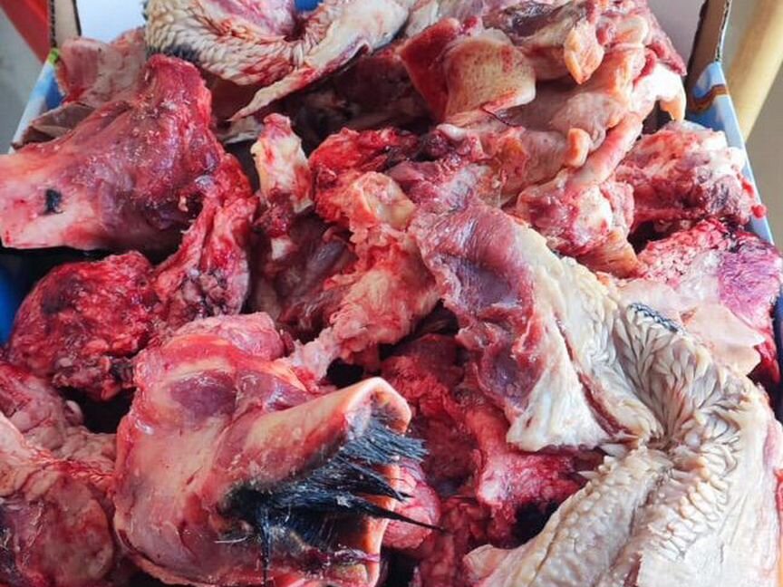 Корма для животных